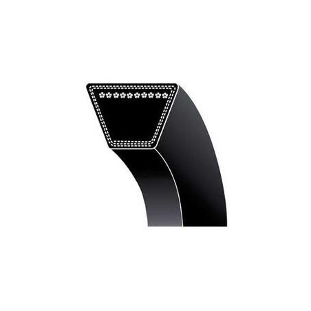 Courroie pour tondeuse CASTEL GARDEN modele F72, F72 HYDRO